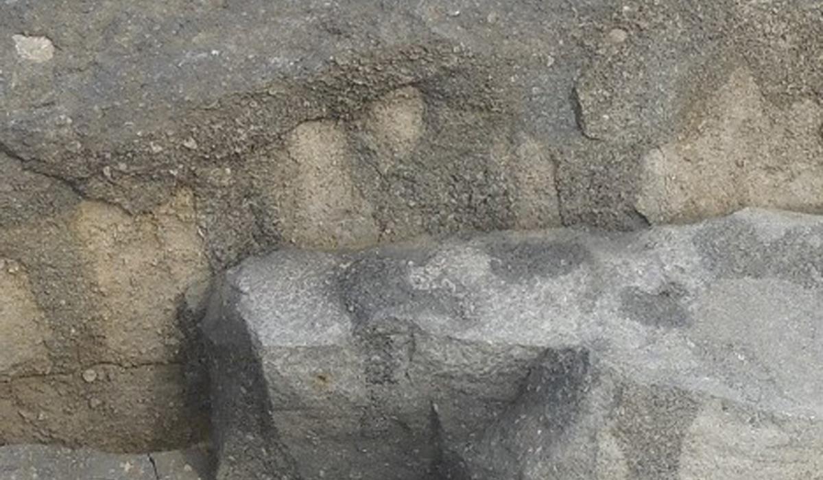 330-Million-Year-Old burrows discovered in County Clare - Photo 1 of 2 ...